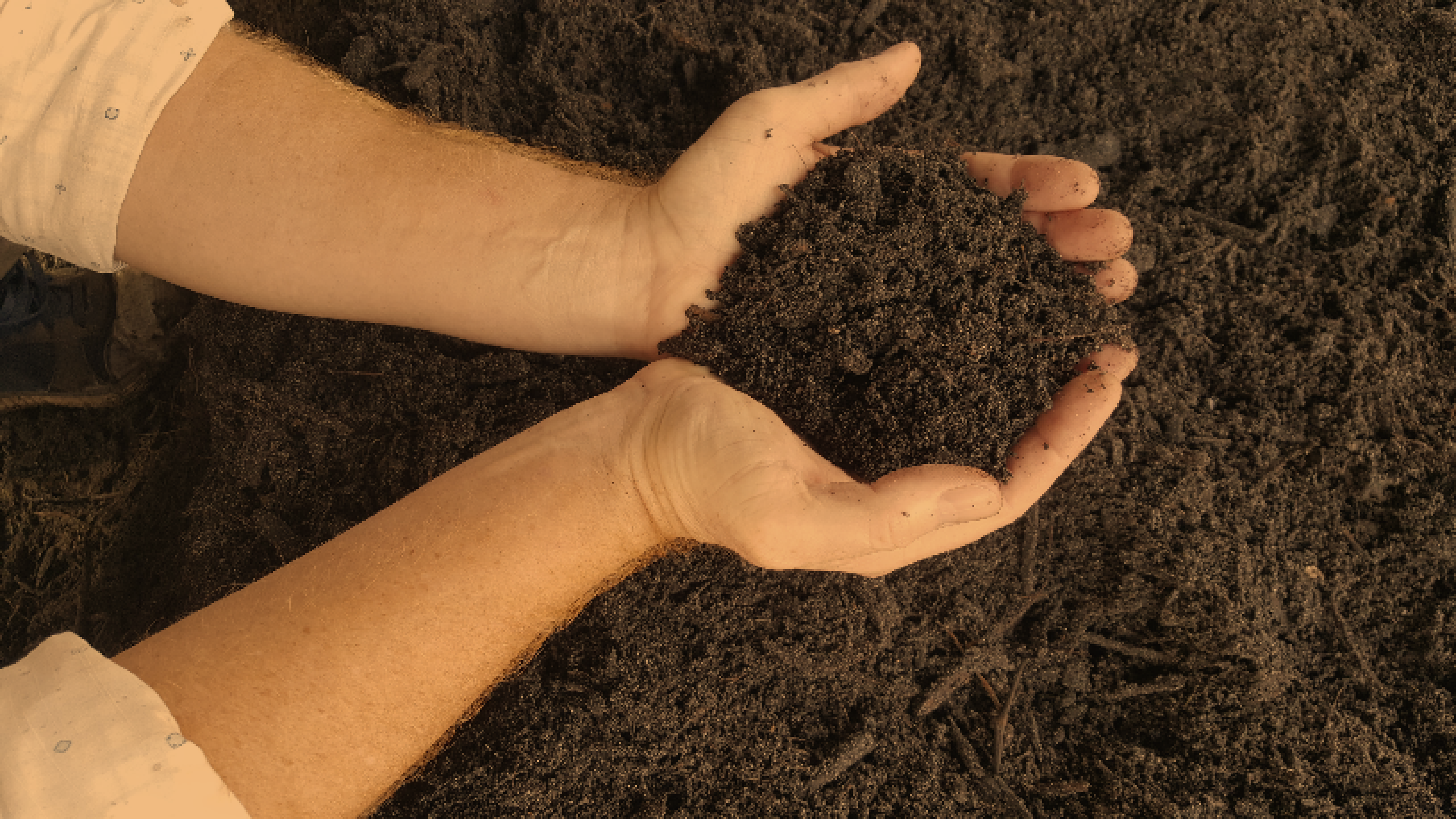 How to make compost: carbon to nitrogen ratio, Berkeley method & tips.